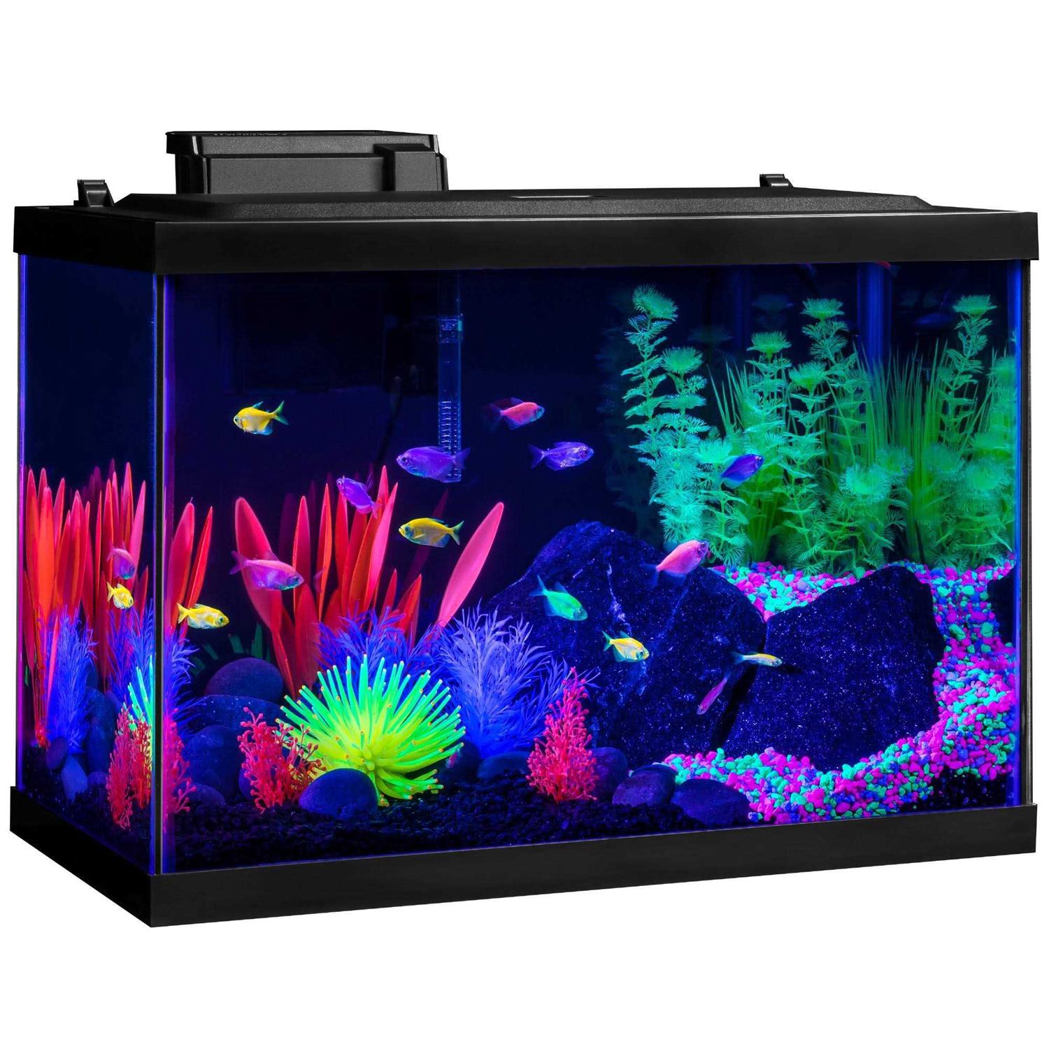 GloFish 20 Gallon Aquarium Kit with LED Lights Decor Heater and Filter ...