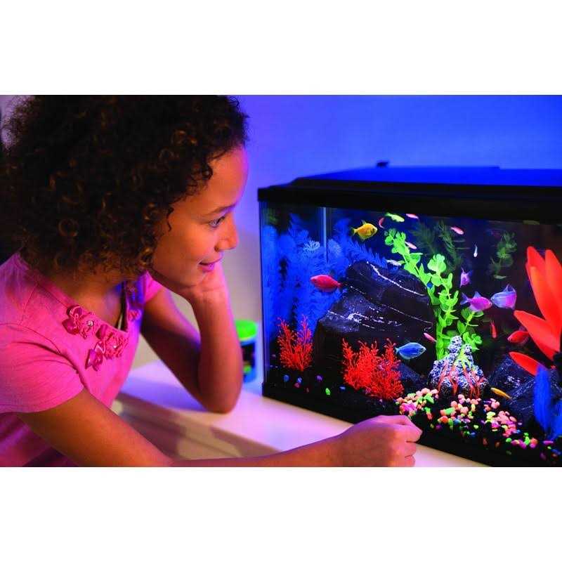 GloFish 20 Gallon Aquarium Kit with LED Lights Decor Heater and Filter ...