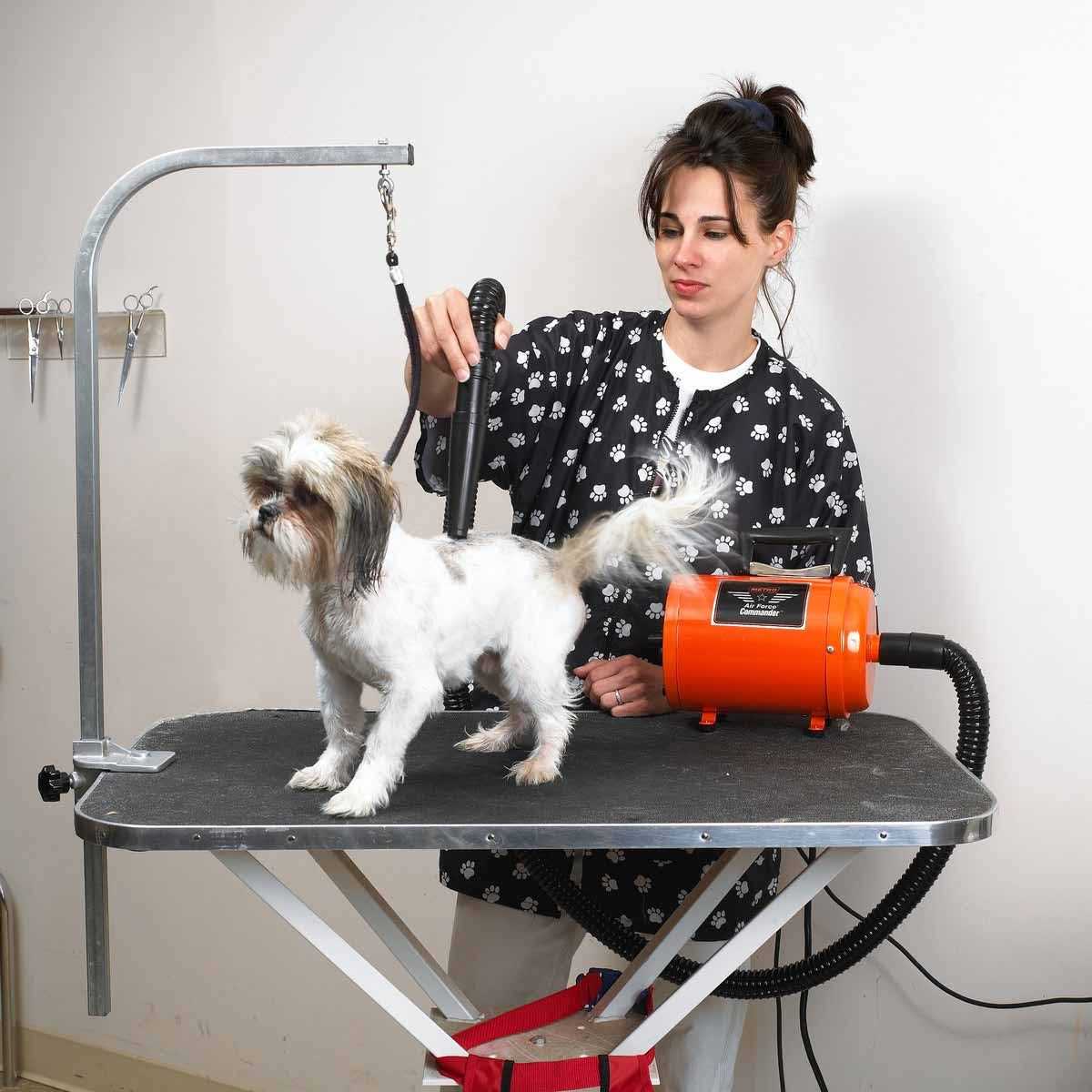 Metro Air Force Commander 2-Speed Dryer - Pet Supplies online store