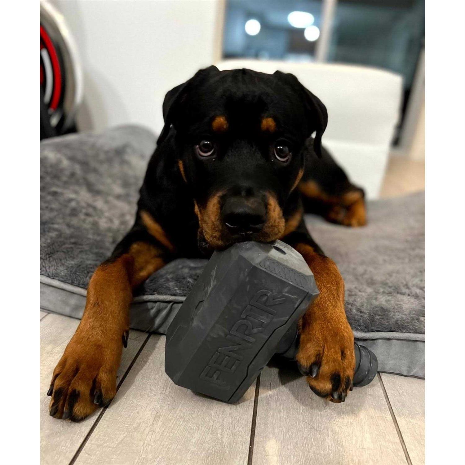 Fenrir Hammer Chew Toy - Pet Supplies online store