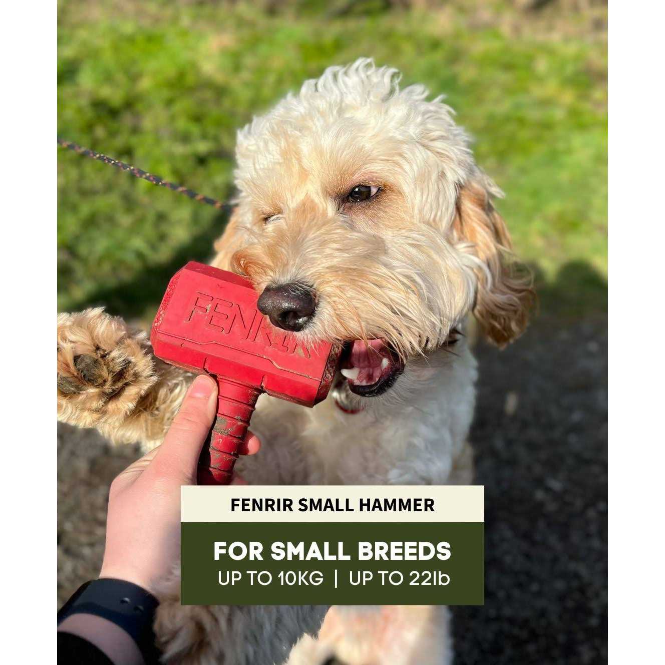 Fenrir Hammer Chew Toy - Pet Supplies online store