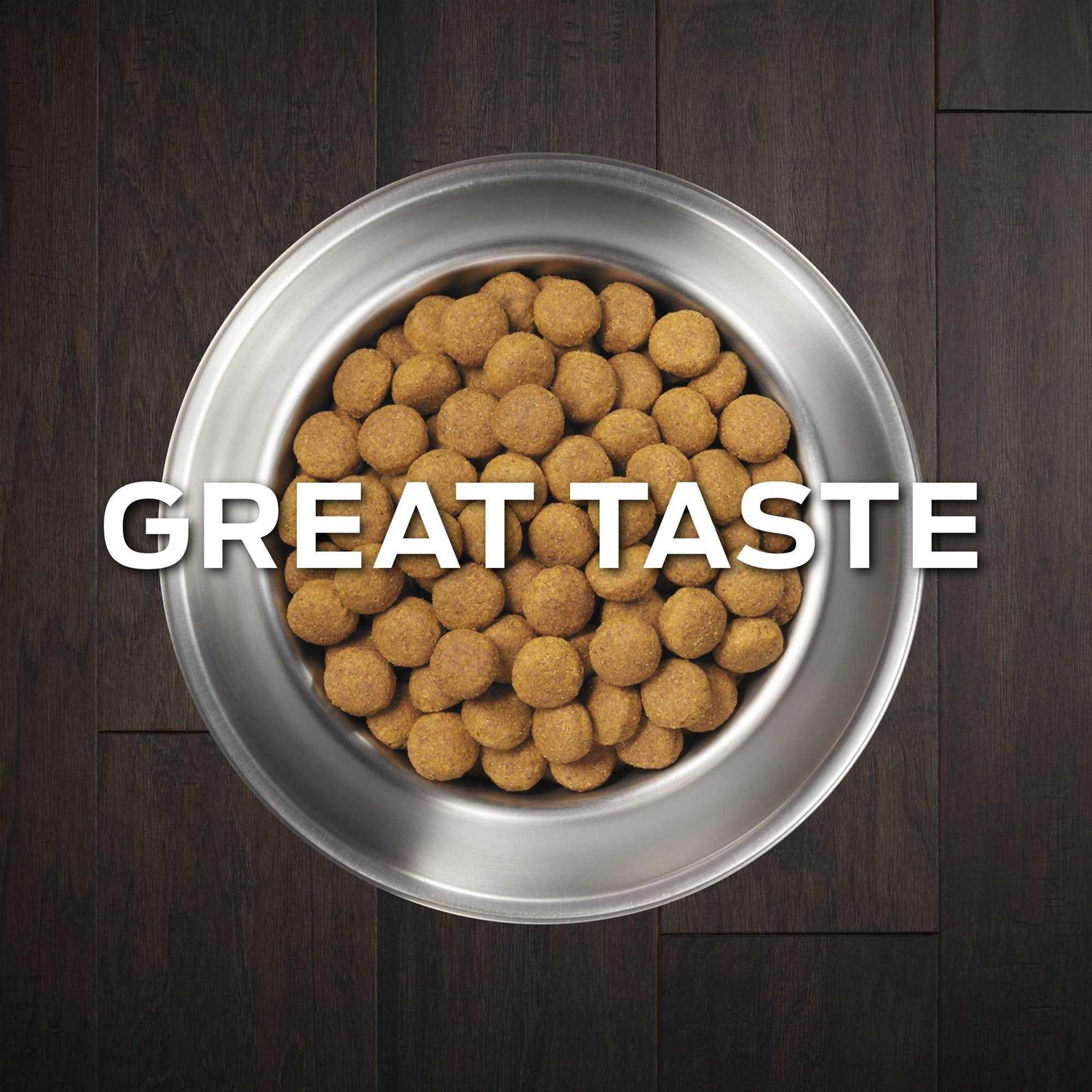 Purina Pro Plan Veterinary Diets DH Dental Health Formula Dry Dog Food ...