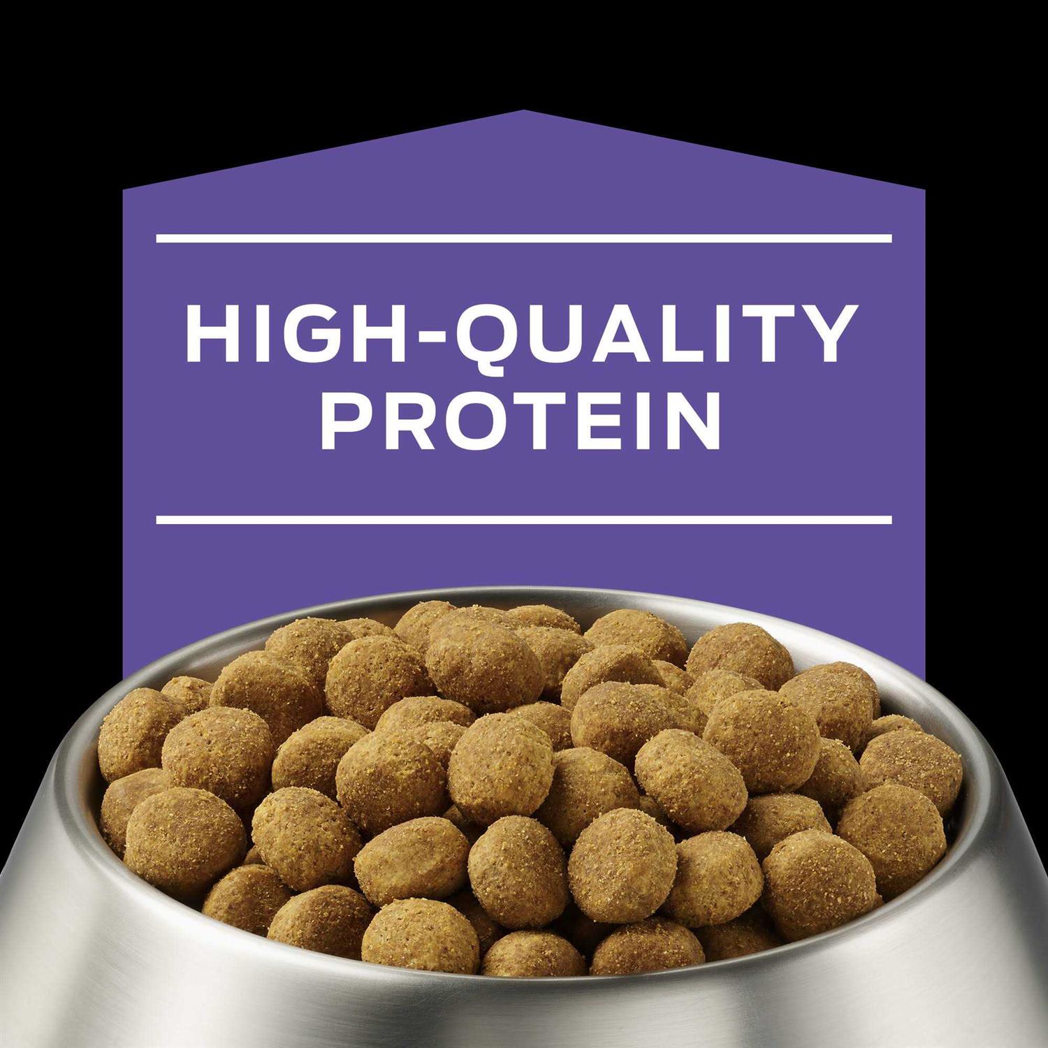 Purina Pro Plan Veterinary Diets DH Dental Health Formula Dry Dog Food ...