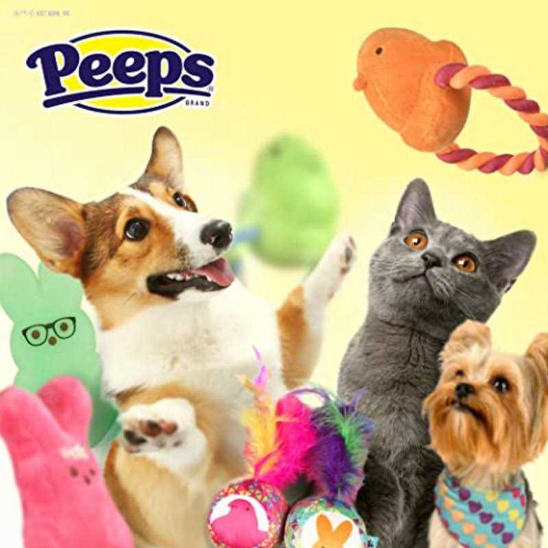 Peeps for Pets Chick 5 Inch Flattie Plush Dog Toy - Pet Supplies online ...