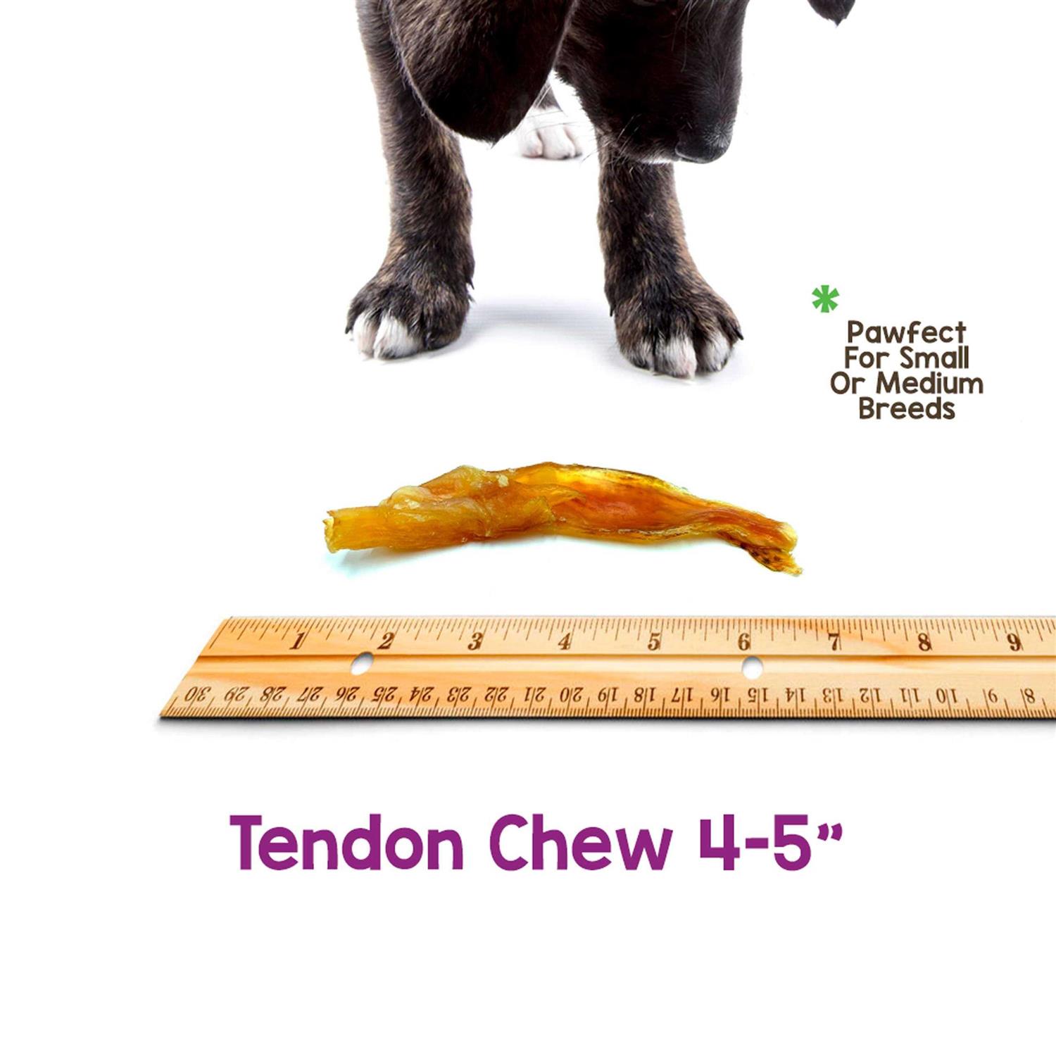 Nature Gnaws Beef Tendon Natural Dog Chews - Pet Supplies online store